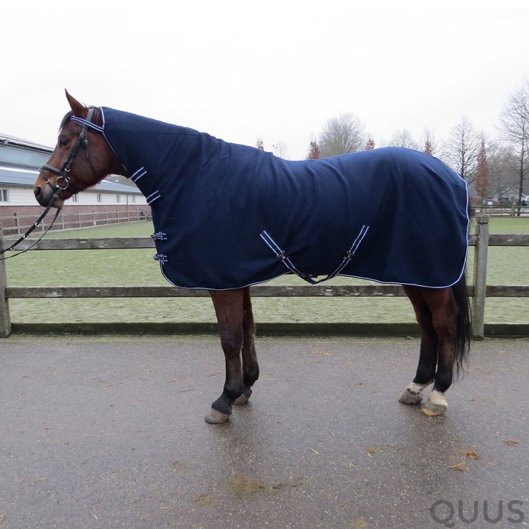 Je paard poetsen, hoe doe je dat? • QUUS.nl